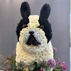 French bulldog funeral tribute